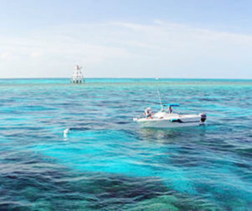 Sea Trip | Arab News PK