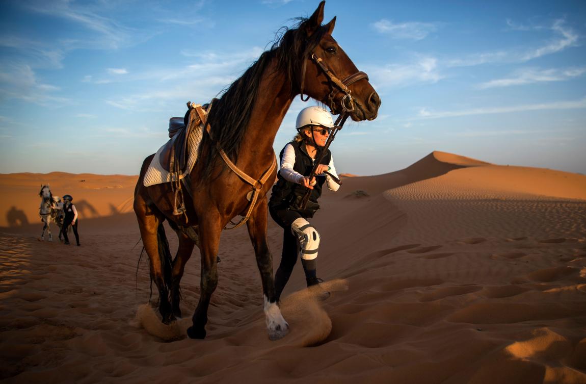 Morocco desert stallion race pushes limits of endurance | Arab News PK