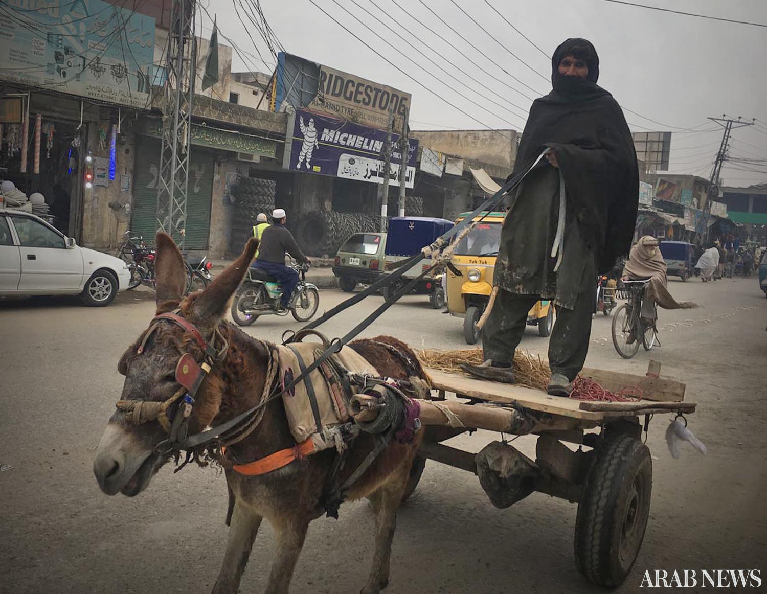 Pakistan aims to cash in on ‘donkey business’ with China | Arab News PK