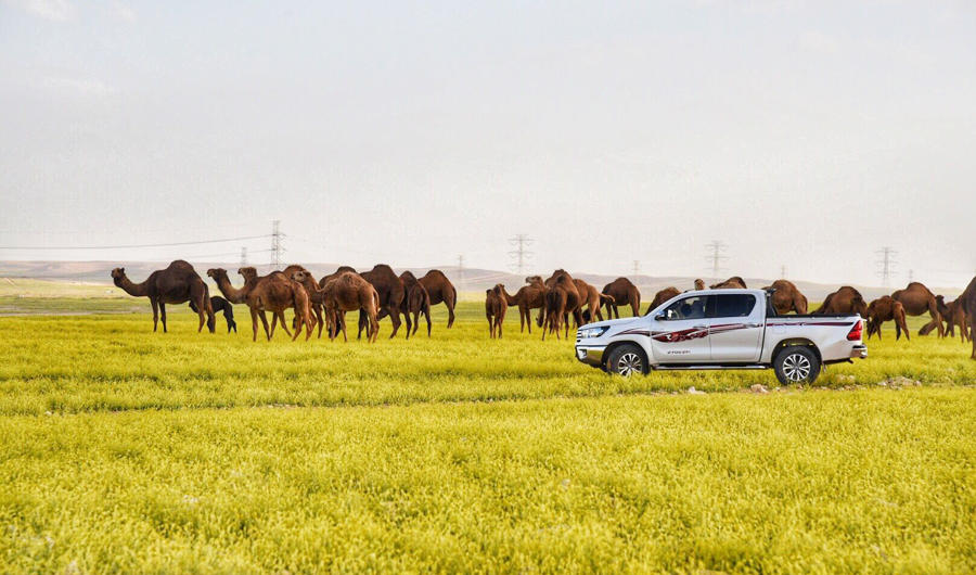 Saudi Arabia celebrates Environment Day to beat air pollution | Arab ...