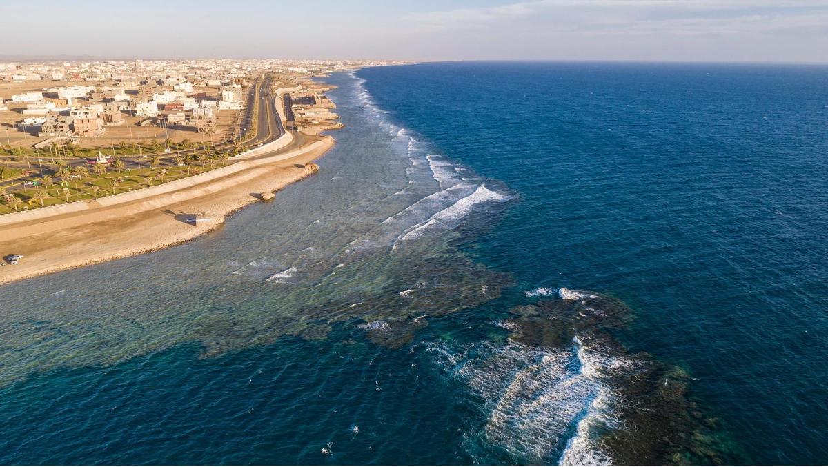 Al-Wajh Governorate .. A global destination for diving enthusiasts ...