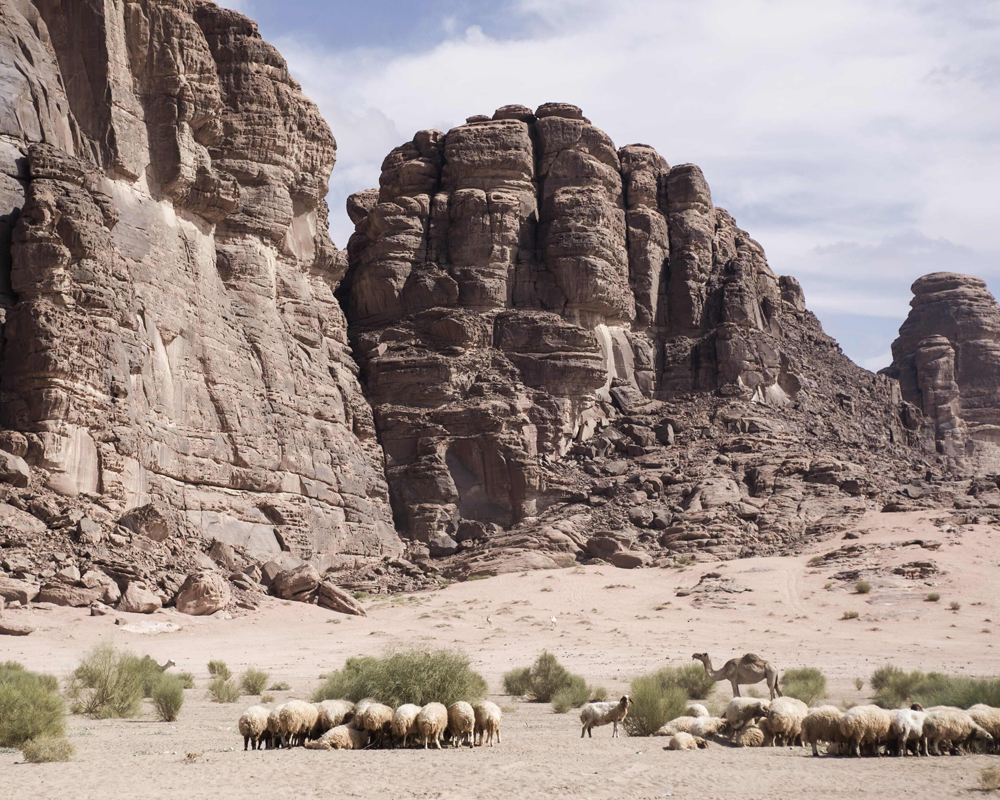 Saudi Arabia gets ready for inaugural NEOM Mobility Summit | Arab News PK