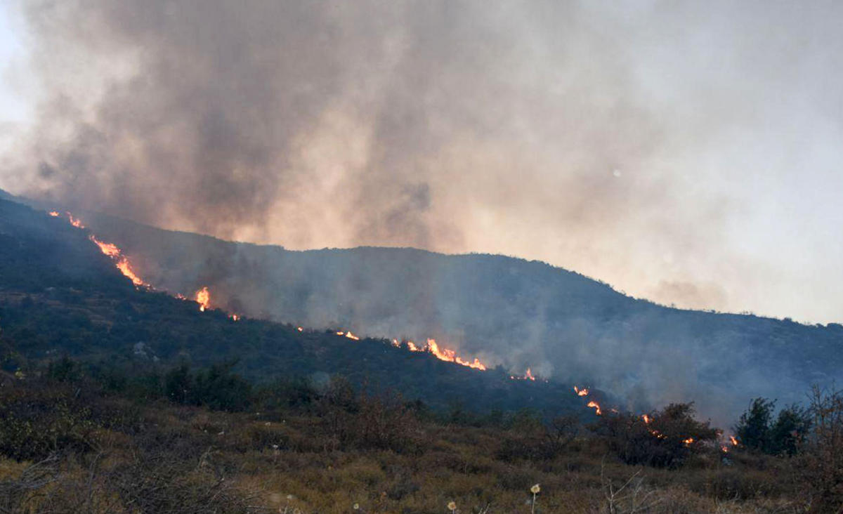 Syria battles forest fires for seventh day straight | Arab News PK