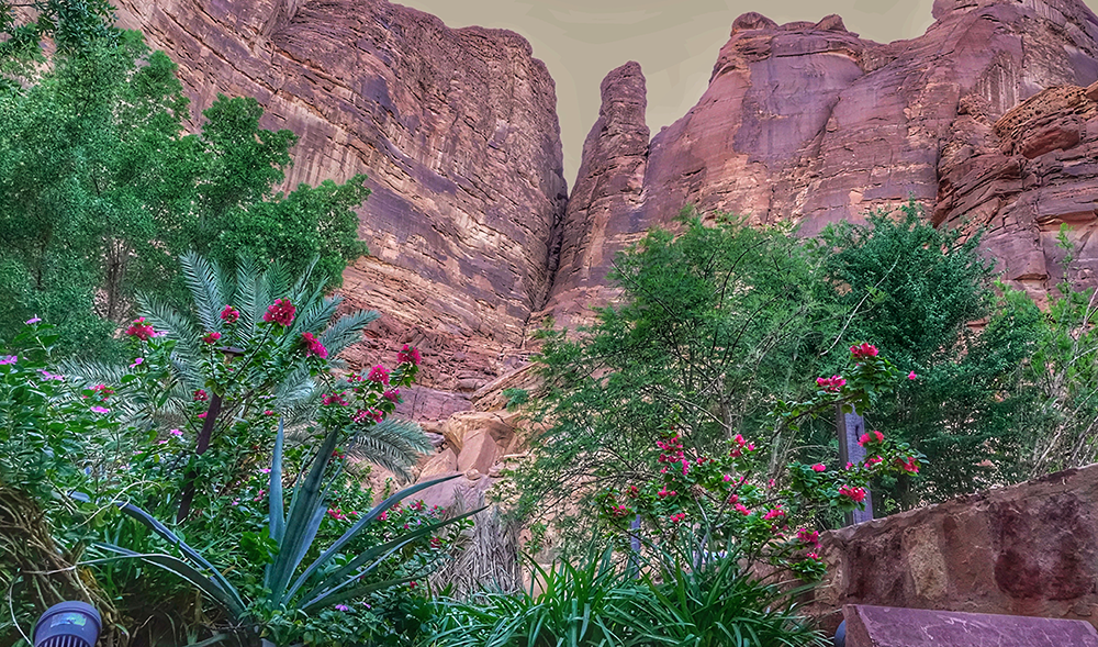 AlUla plant farm reveals historic roots of ancient region | Arab News PK