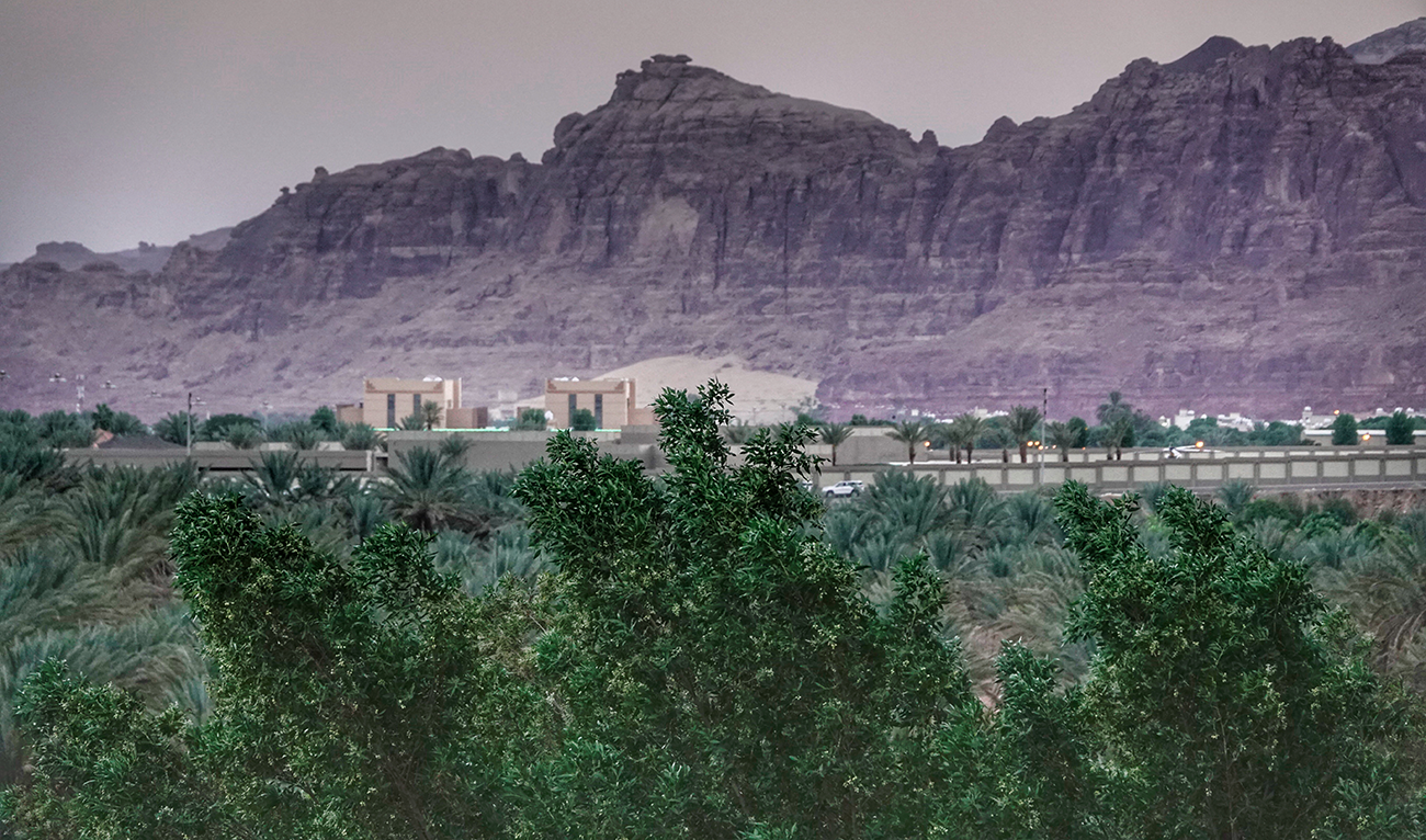 AlUla plant farm reveals historic roots of ancient region | Arab News PK