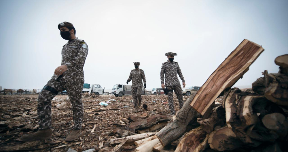 Environmentalist suggests ways to preserve Saudi Arabia’s forests ...