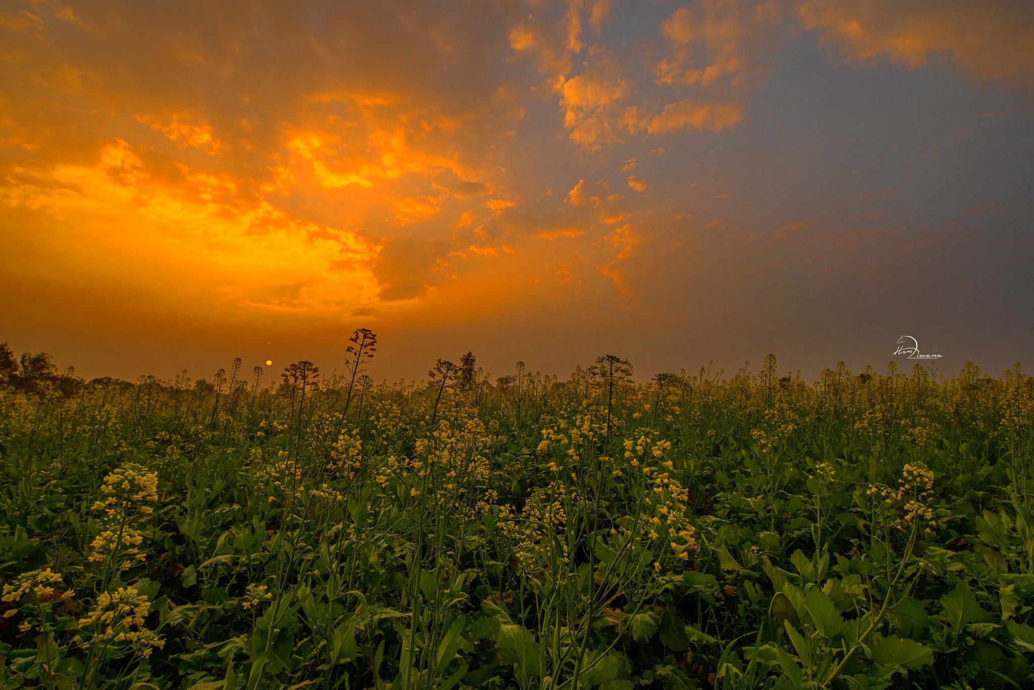 Six Pakistani photographers to follow on Instagram | Arab News PK