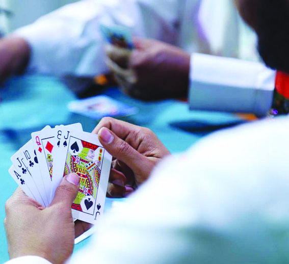 Baloot tips | Arab News PK