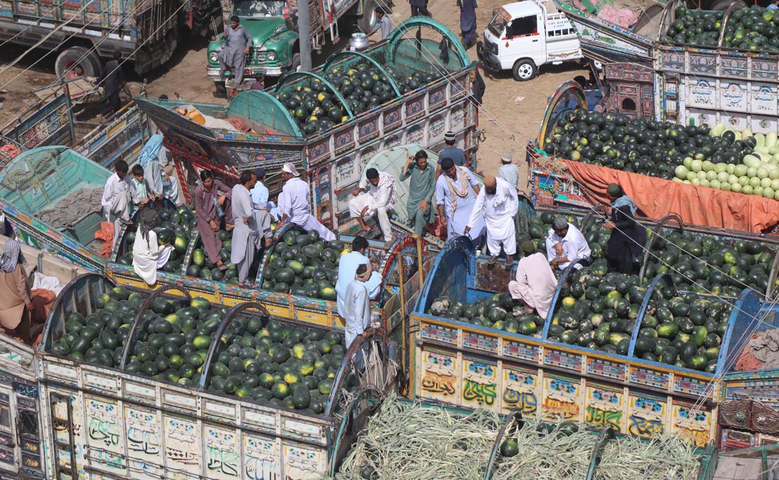 Bumper watermelon harvest pushes prices down in Pakistan | Arab News PK