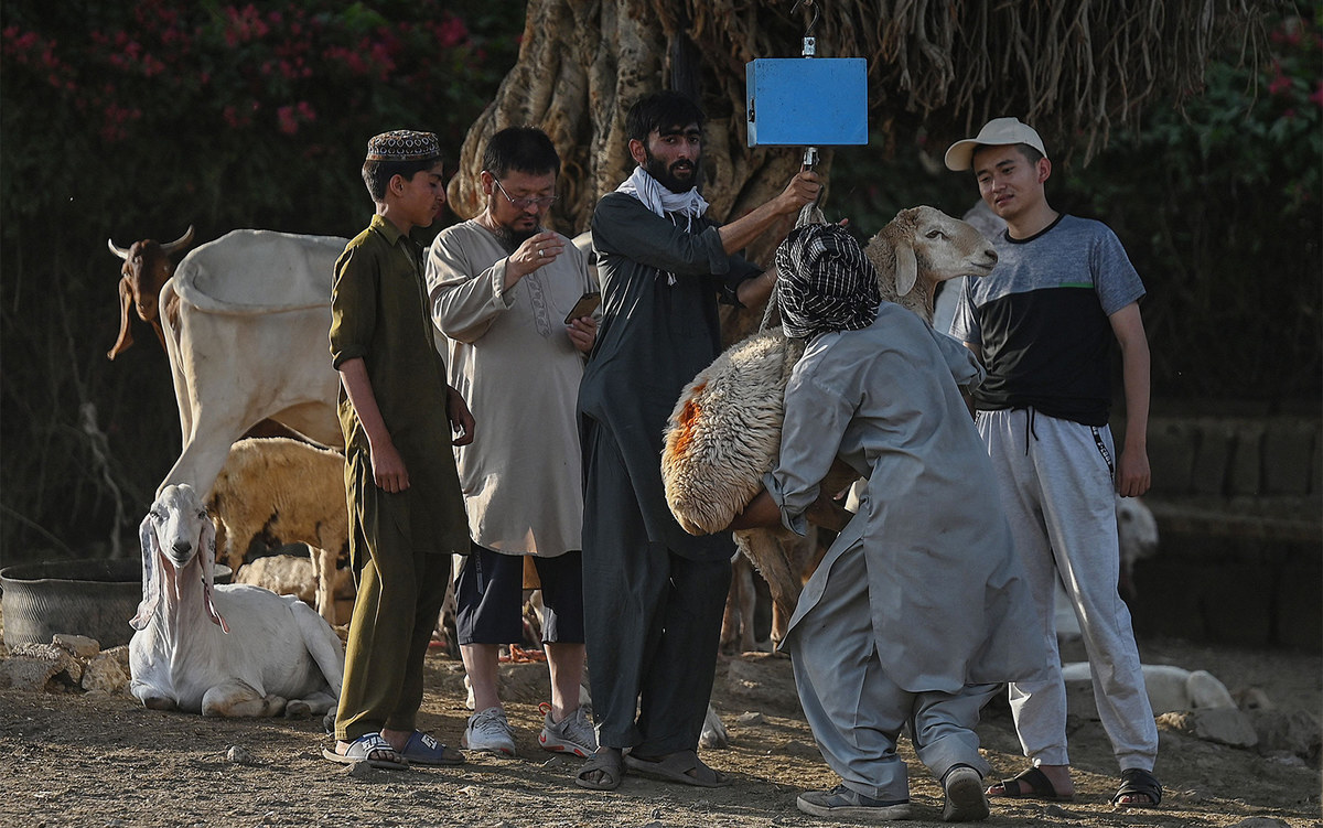 In picturesque Saidpur village, nearly 60-year-old goat market is go-to ...