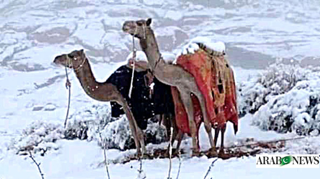 Snowfall brings sightseers to Saudi Arabia’s Tabuk | Arab News PK