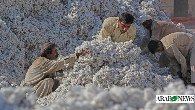 Cotton prices hit historic high in Pakistan on high global and local ...