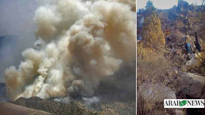 Three killed as fire in world’s largest pine nut forest in Pakistan ...
