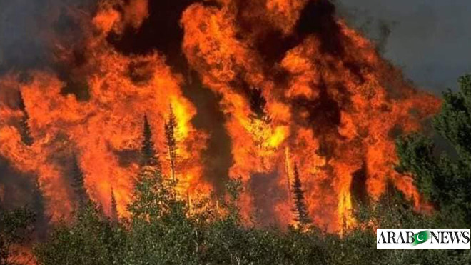 On PM’s orders, Balochistan forms task force to battle forest fire in ...