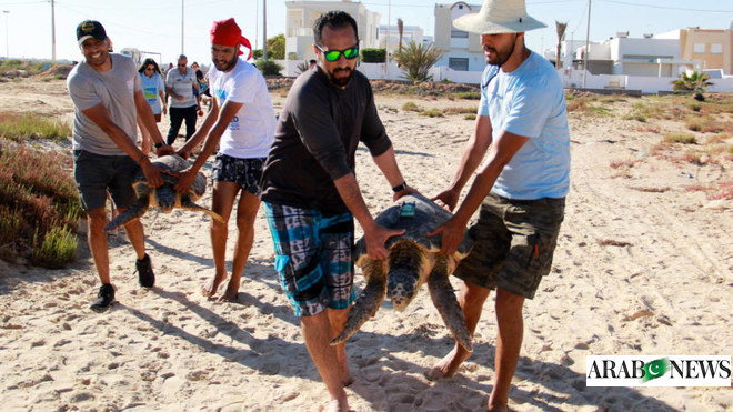 Loggerhead turtles freed in Tunisia with tracking monitor | Arab News PK