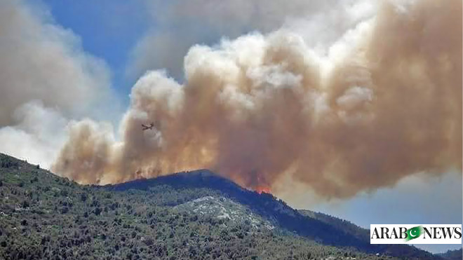 After two weeks raging, Iranian air tanker puts out forest fire in ...