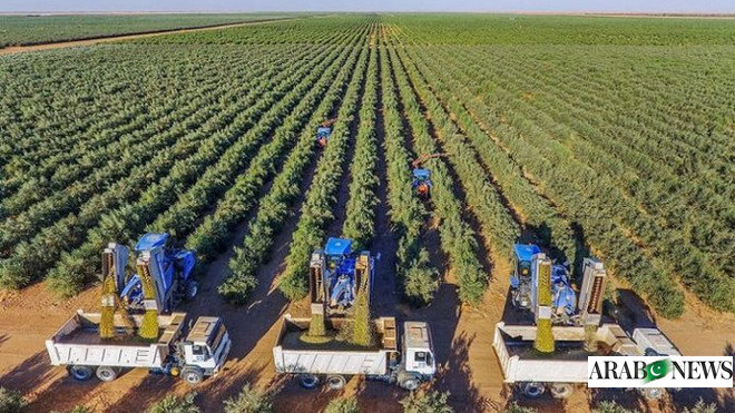 From cool highlands to desert oases, a diverse terrain makes Saudi ...