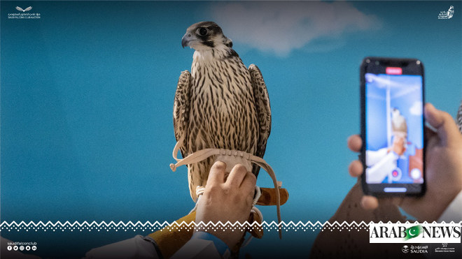 Saudi falcon auction sale exceeds SR1 million amid fierce competition ...