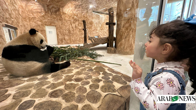 Qatar gets the Middle East’s first pandas | Arab News PK