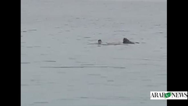 Russian citizen killed in shark attack in Egypt’s Hurghada | Arab News PK