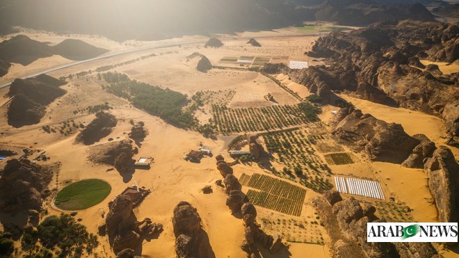 Saudi deputy environment minister says desertification among ‘most ...