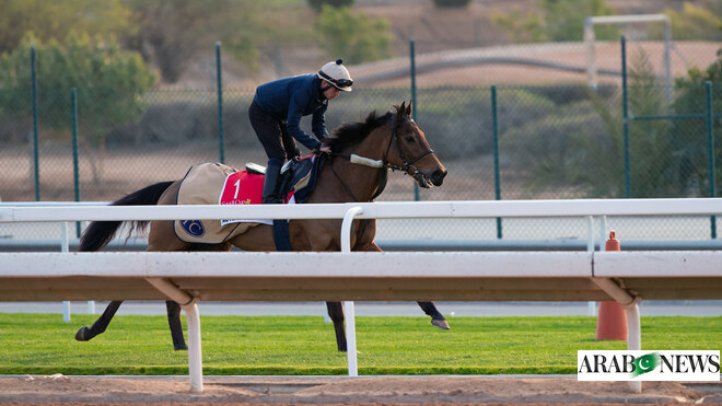 Tom Clover eyes Saudi Cup meeting success with Al Nayyir after Qatar ...