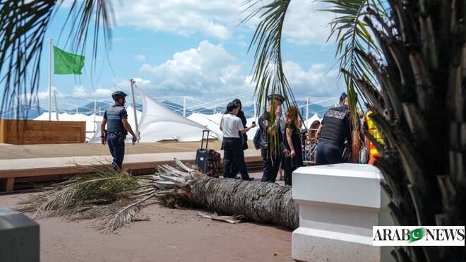 Man badly hurt by falling palm tree at Cannes film festival | Arab News PK