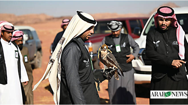 How NEOM is rewilding Saudi Arabia and reviving ancient falconry ...