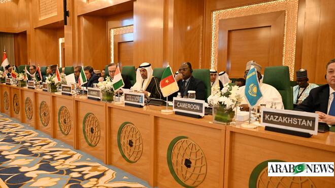 OIC calls emergency meeting after Israel recognizes Somaliland | Arab ...