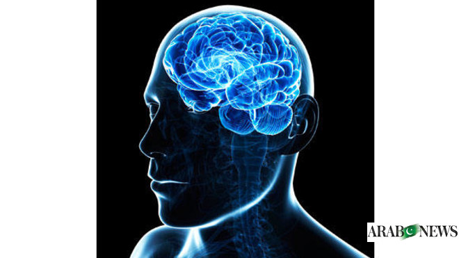 Unraveling the mysteries of the brain | Arab News PK