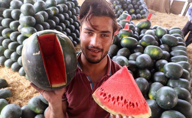 Bumper watermelon harvest pushes prices down in Pakistan | Arab News PK