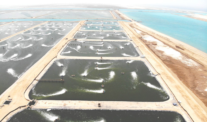 Saudi project aims to make Kingdom self-sufficient in seafood ...