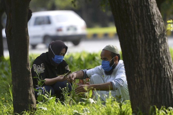 Pakistan says new tree-planting campaign will create over 34,000 jobs ...