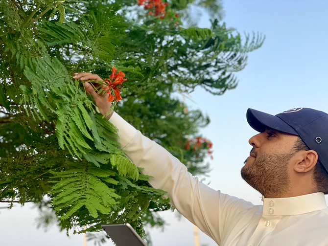 Ready, steady grow: Saudi tree-planting initiative seeks greener future ...