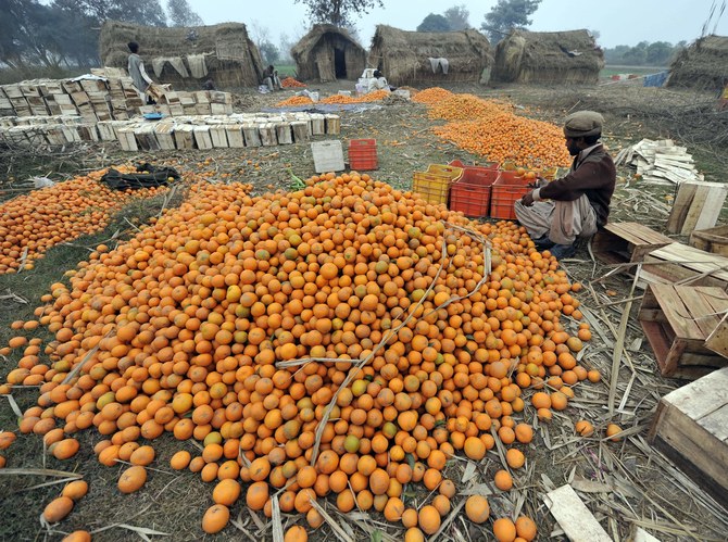 Third of Pakistan’s 2020 mandarin exports earmarked for the Middle East ...