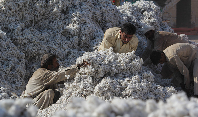 Pakistan cotton production down by 34% in a year | Arab News PK