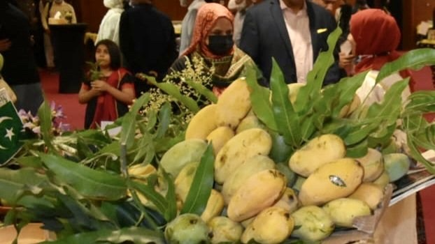 Dubai mango festival gives international spotlight to Pakistan’s king ...