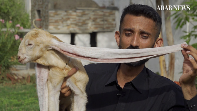 Half Human Half Goat Baby