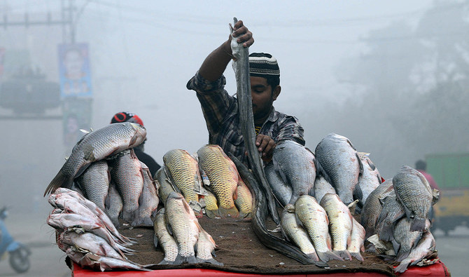 WWF clarifies Pakistani fish ‘fit for human consumption’ after reports ...