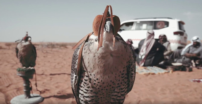 Saudi wildlife reserve to host sustainable hunting competition | Arab ...