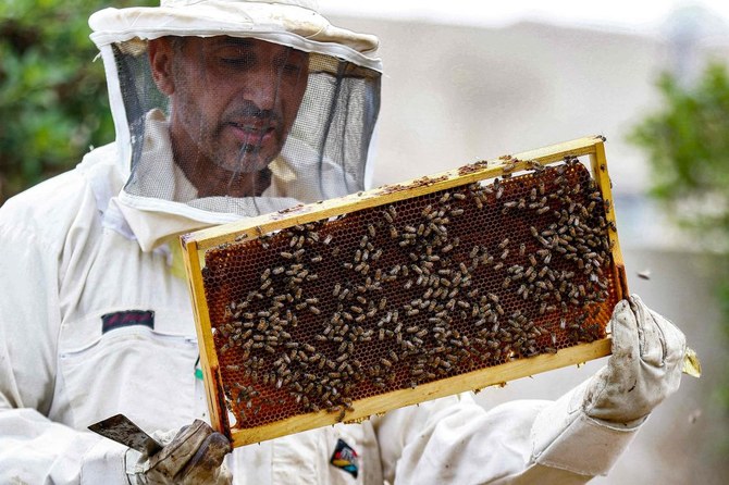 Sweet success: Jordan’s beekeepers busy as honey demand soars | Arab ...