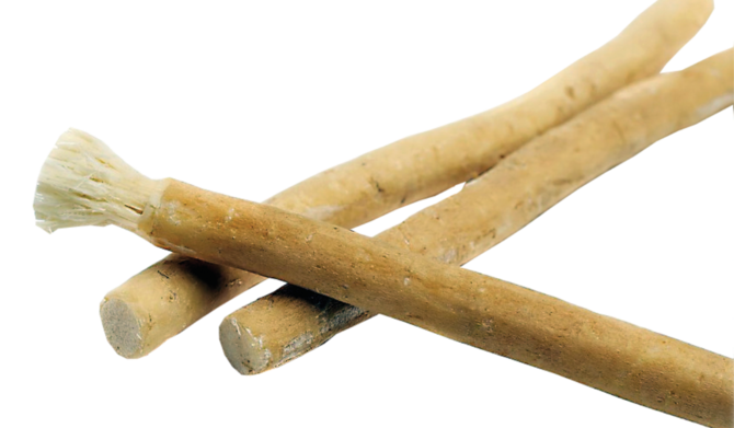 Keep your smile bright during Ramadan with the magic of miswak | Arab ...