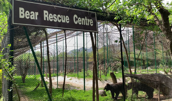 Islamabad center rehabilitates hundreds of animals, including dancing ...