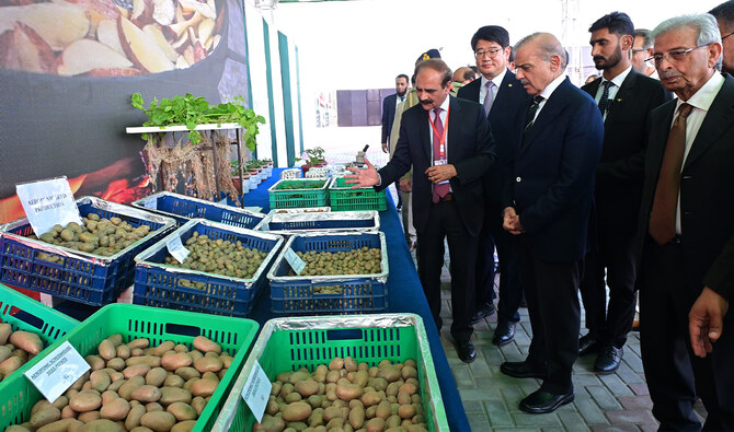 Pakistan, South Korea partner up to produce high-quality seed potatoes ...