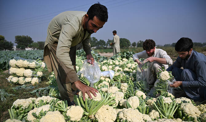 Pakistan PM orders plan to boost farm exports, cut trade deficit | Arab ...