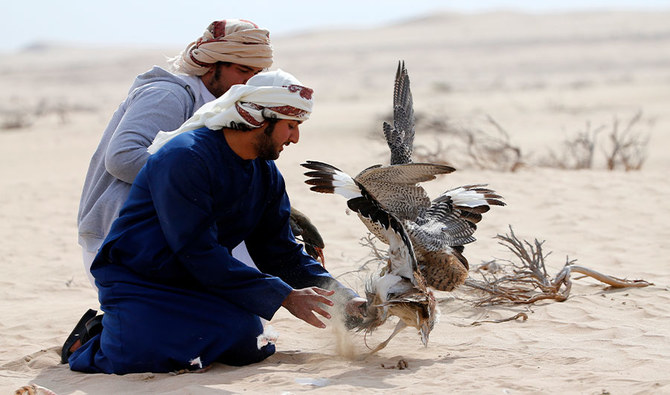 UAE committed to preserving Pakistan’s vulnerable houbara bustard ...