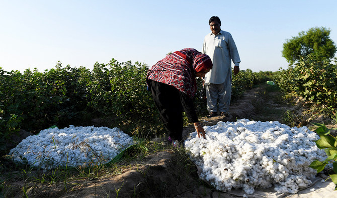 Cotton-growing areas including Pakistan face world’s biggest extreme ...