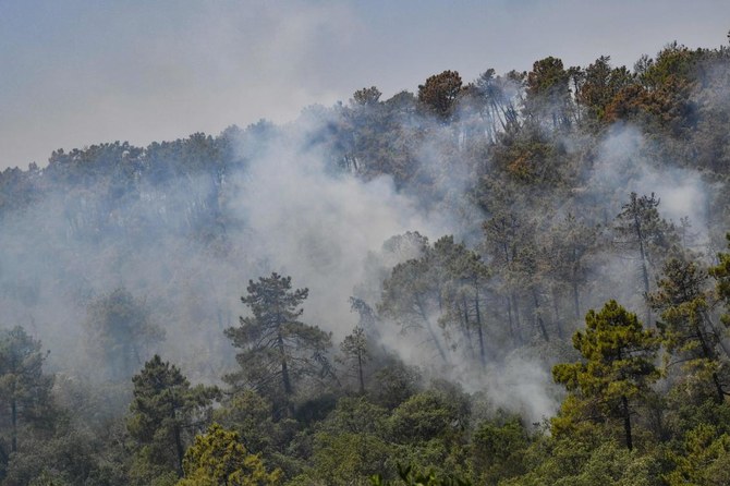 Tunisia firefighters battle forest blaze on Algeria border | Arab News PK