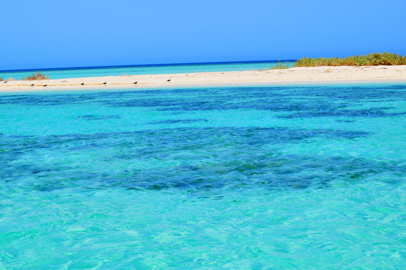 6 must-visit beaches in Saudi Arabia | Arab News PK