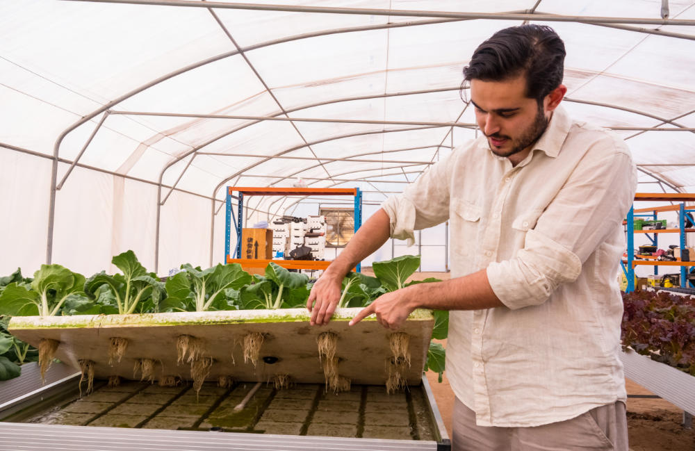 Saudi farmer engineers a blooming desert in the desert | Arab News PK